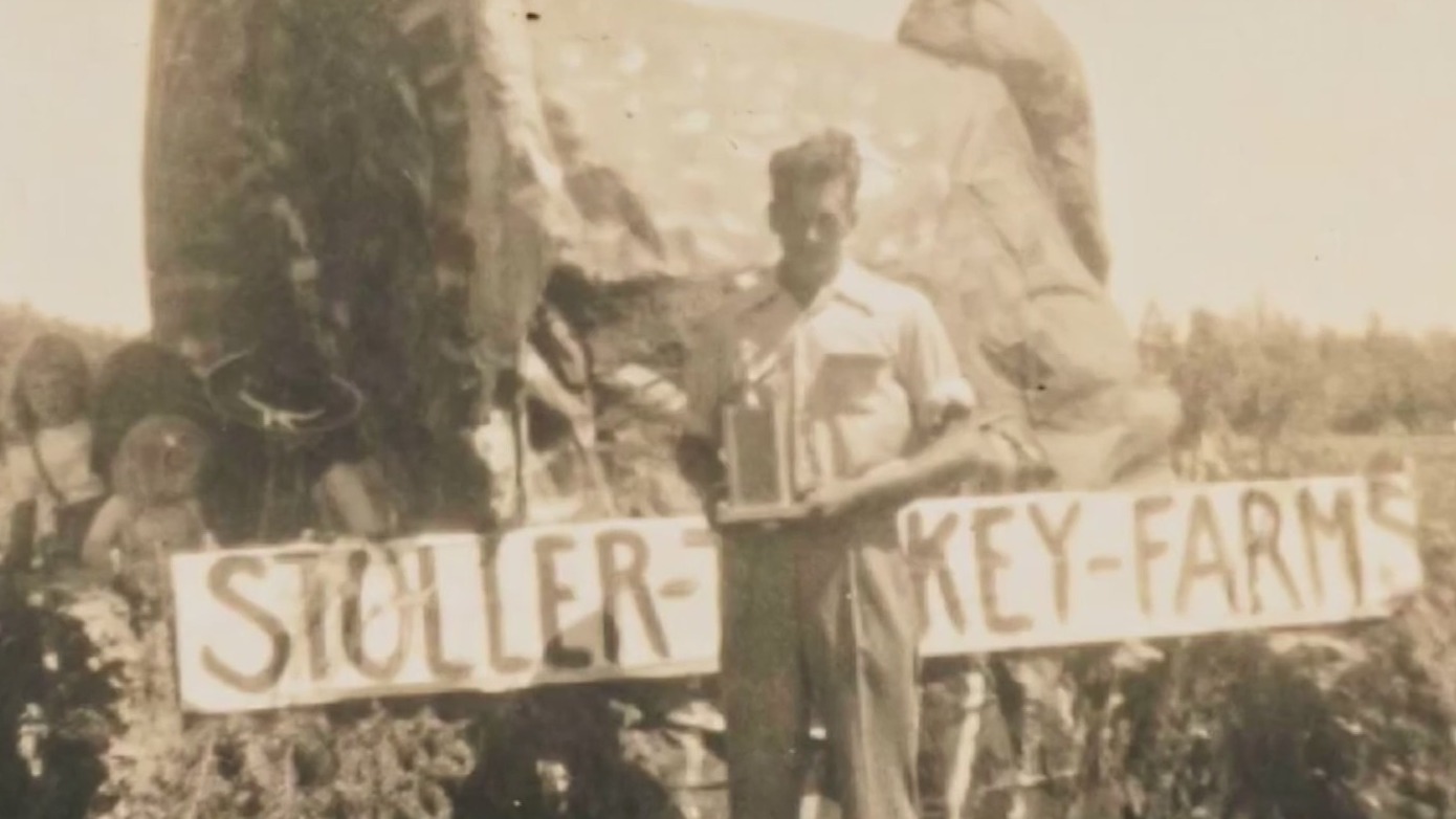 Stoller Wine Group mourns death of founder Bill Stoller, ‘visionary’ in ...