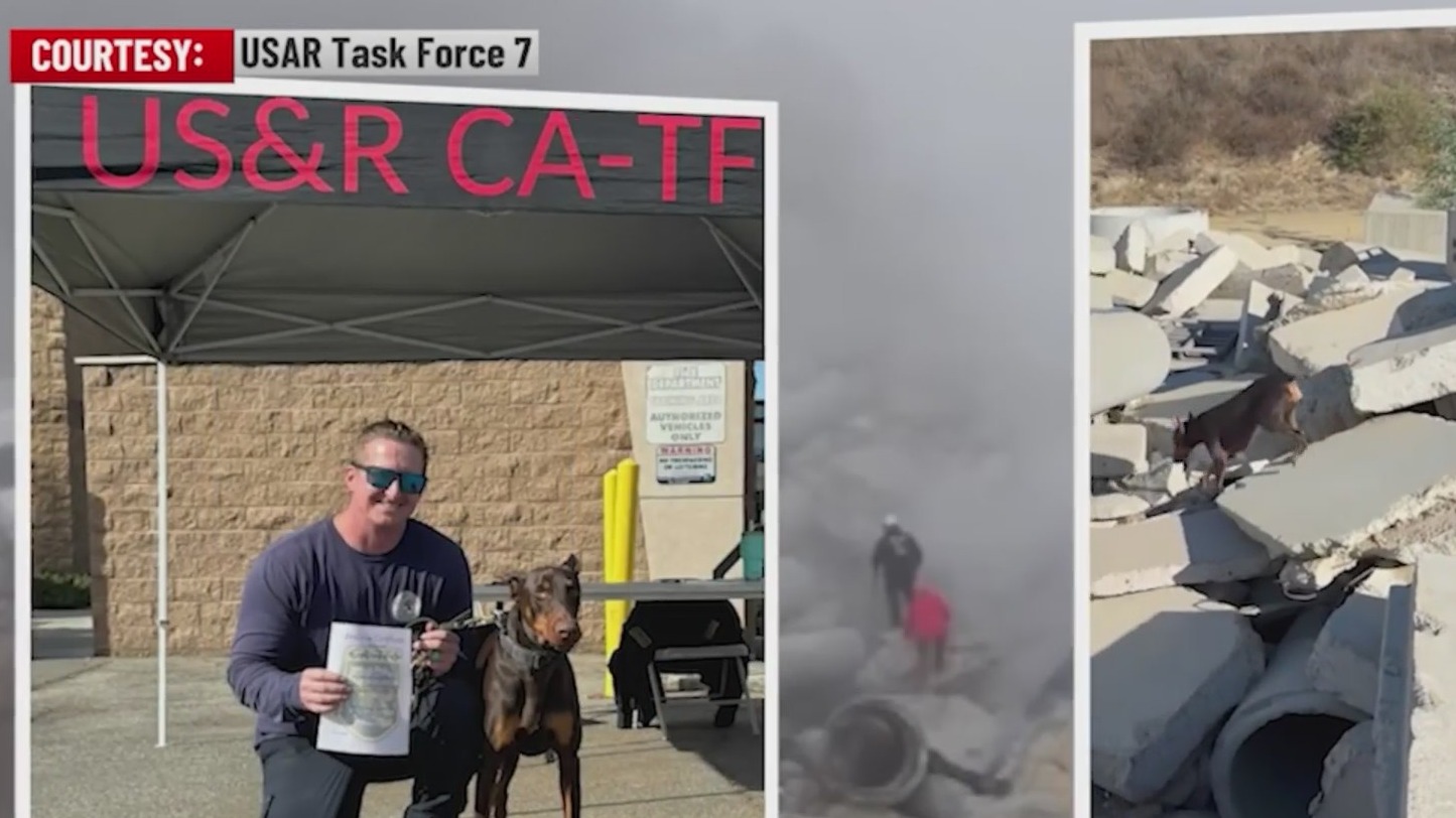 Local K9 and handler deployed to assist with flooding in Texas – FOX40 News