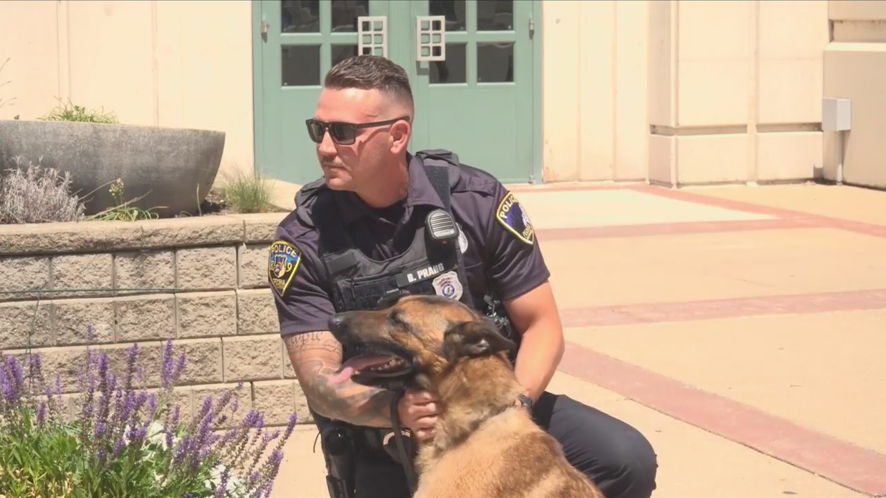 Loki becomes first Peoria Police K-9 to have a swearing in ceremony ...