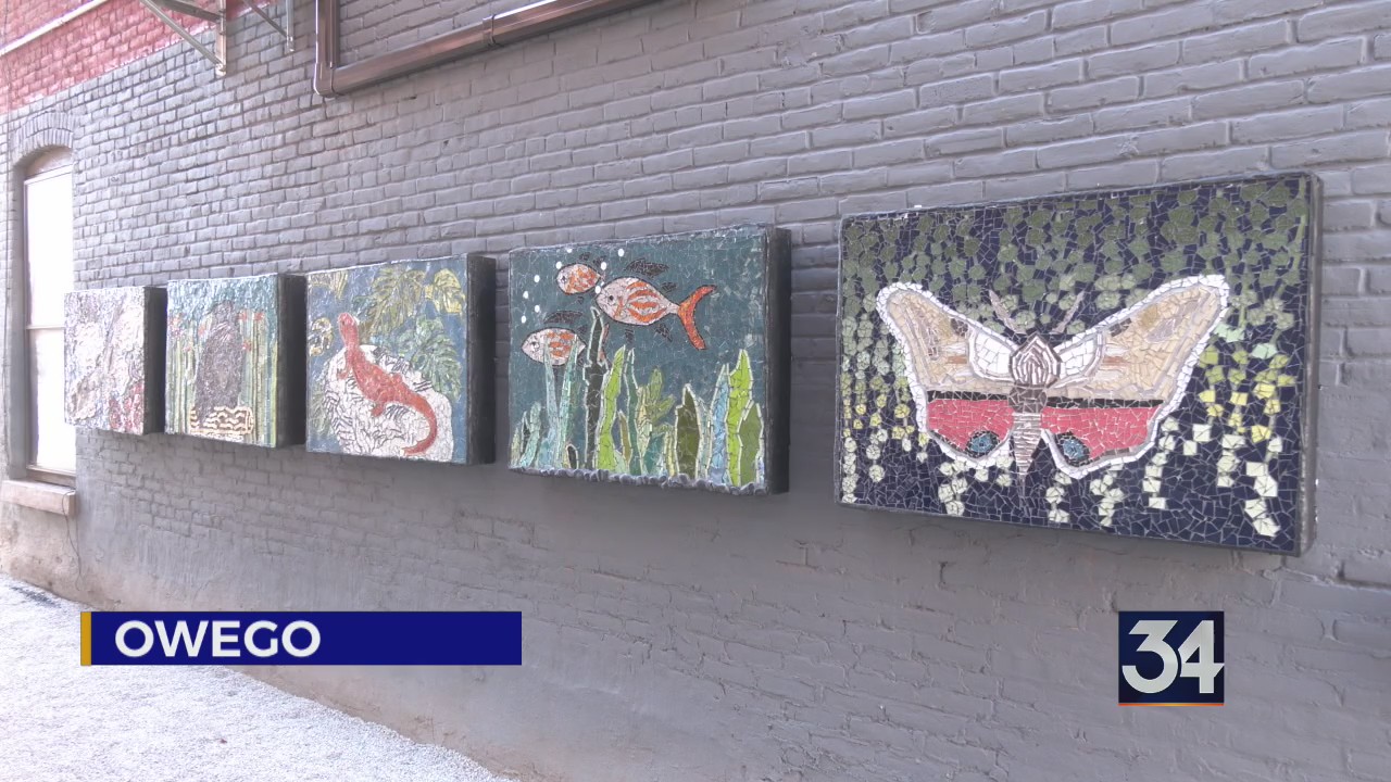 Emily Jablon unveils new mosaic in Owego – WIVT – News 34