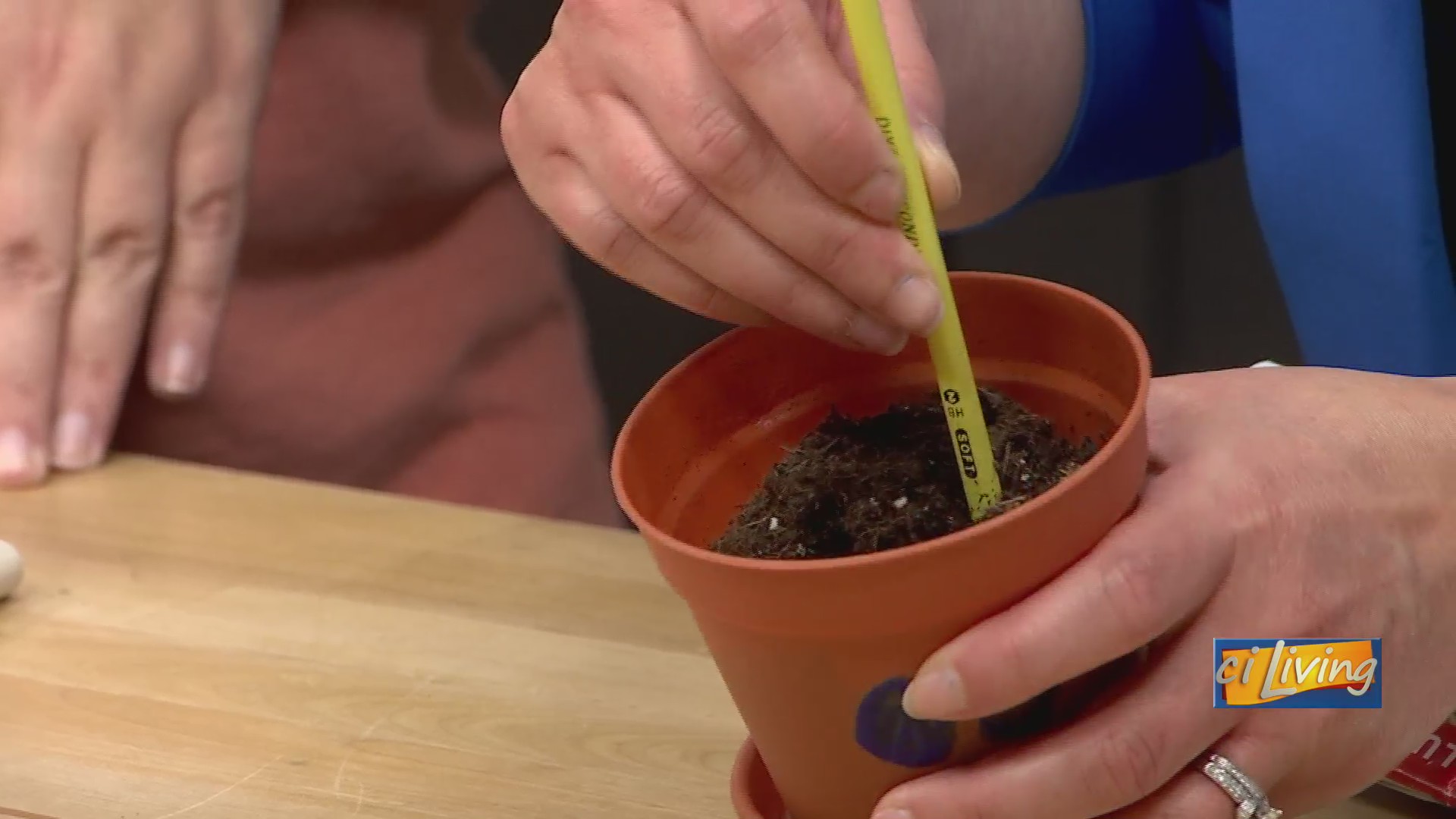 Fall Fun for the Whole Family | UIUC Crop Sciences – WCIA.com