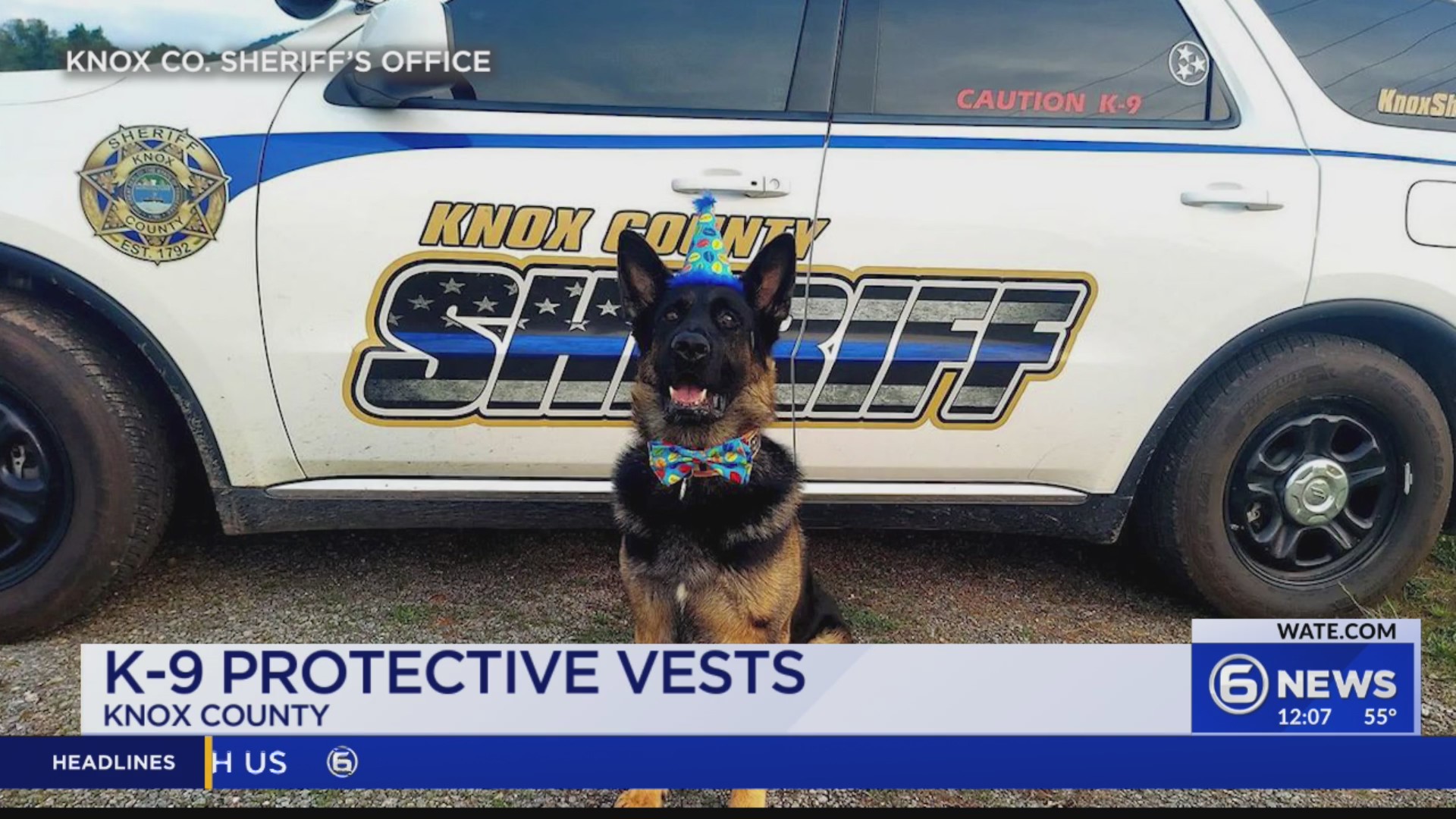 K9s with Knox County Sheriff’s Office gifted body armor – WATE 6 On ...