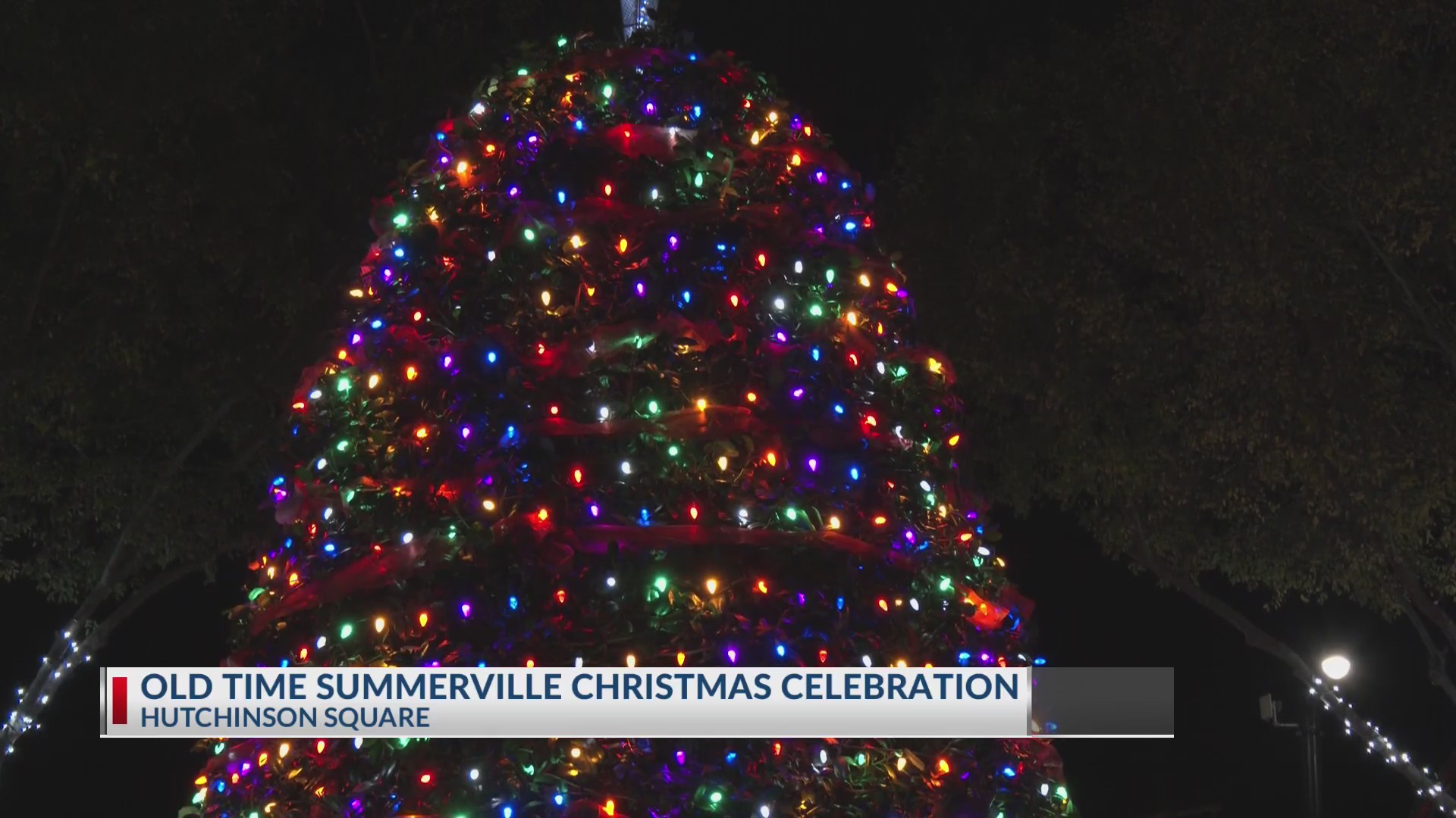 Summerville lights town tree during annual celebration – WCBD News 2