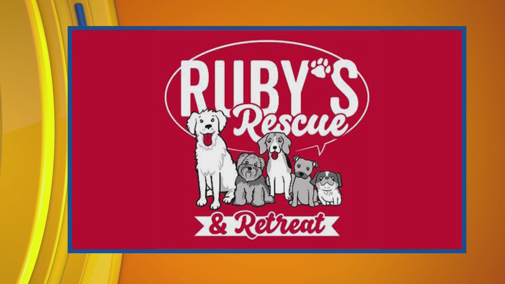 Furever Family: Ruby’s Rescue | Outdoor Market | ciLiving – WCIA.com
