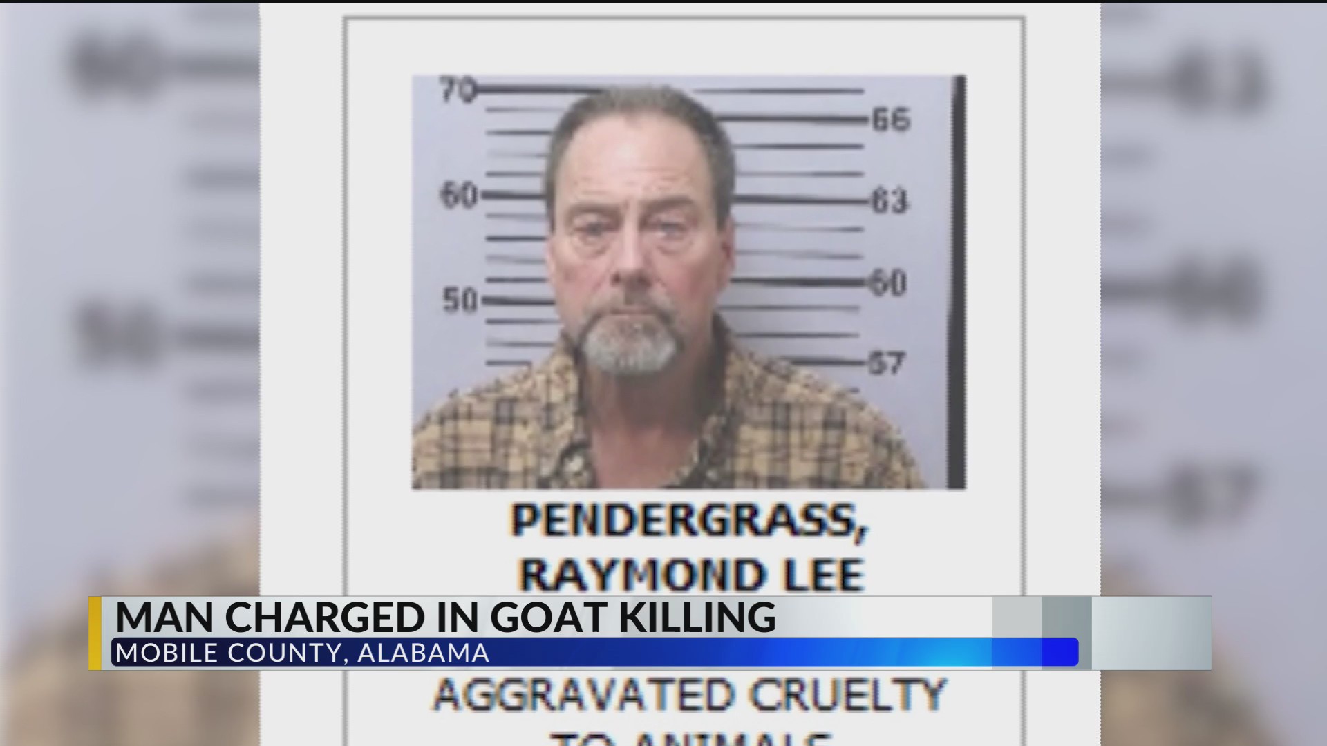 Theodore man accused of shooting, killing neighbor’s goat now in ...