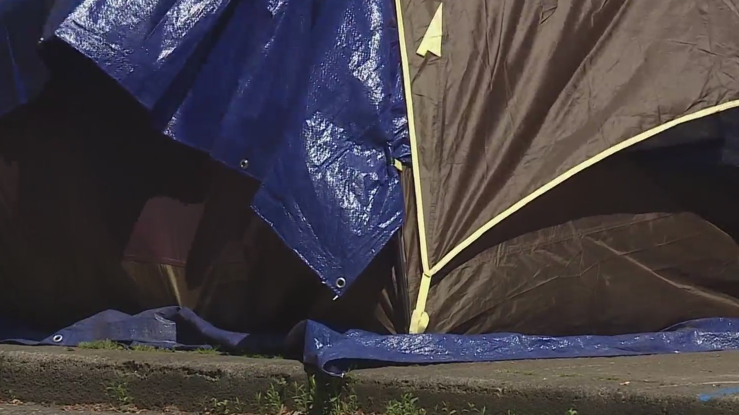 Portland City Council passes revised public camping ordinance ...