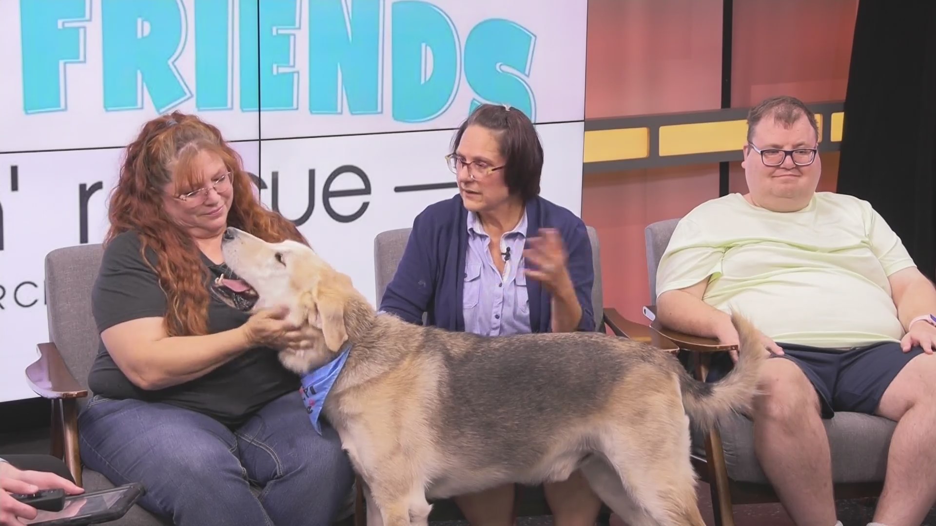FURRY FRIDAY: Meet Merrit the dog – KX NEWS