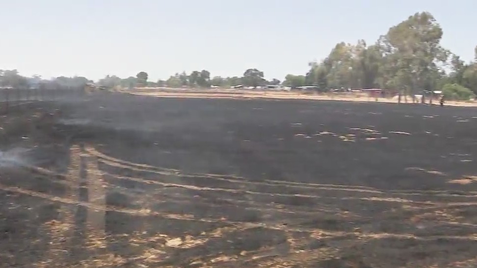 Haggie Fire, scorched around 45-acres before crews were able to halt ...