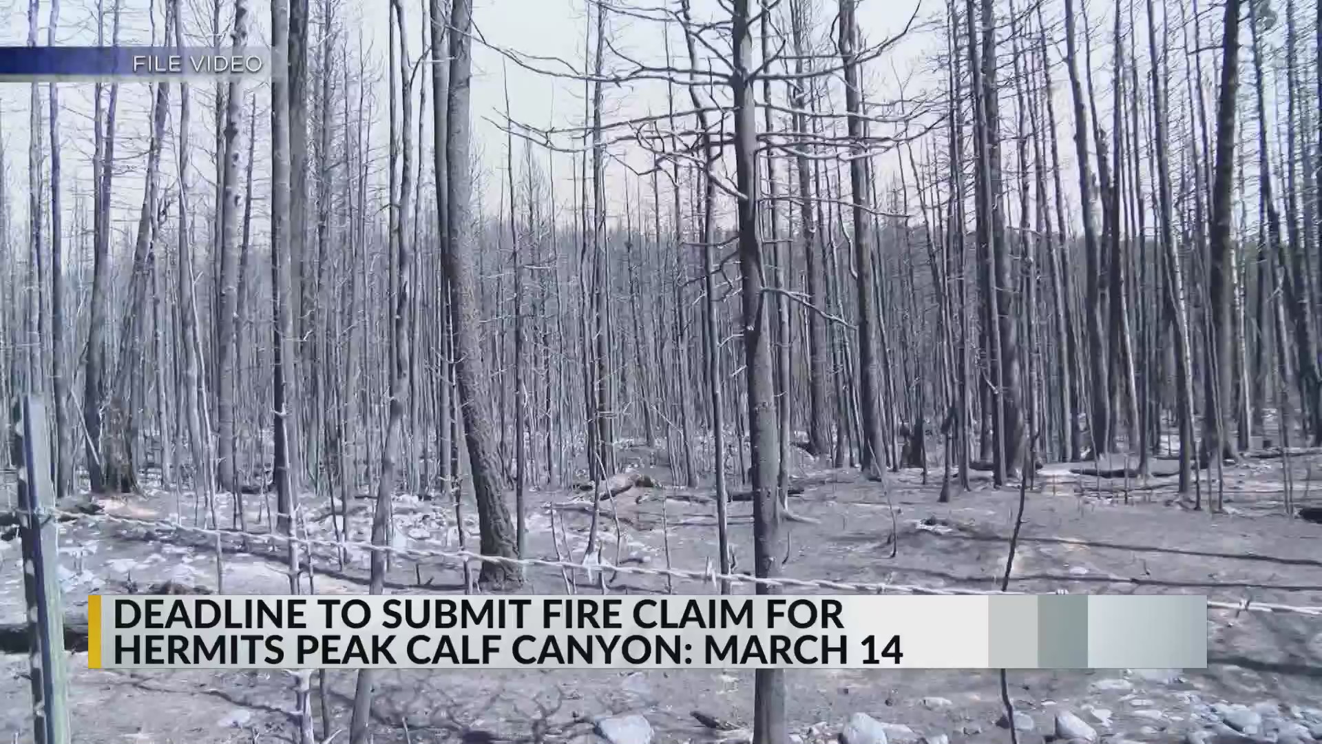 10 days left to file claims for Hermits Peak Calf Canyon Fire damage ...