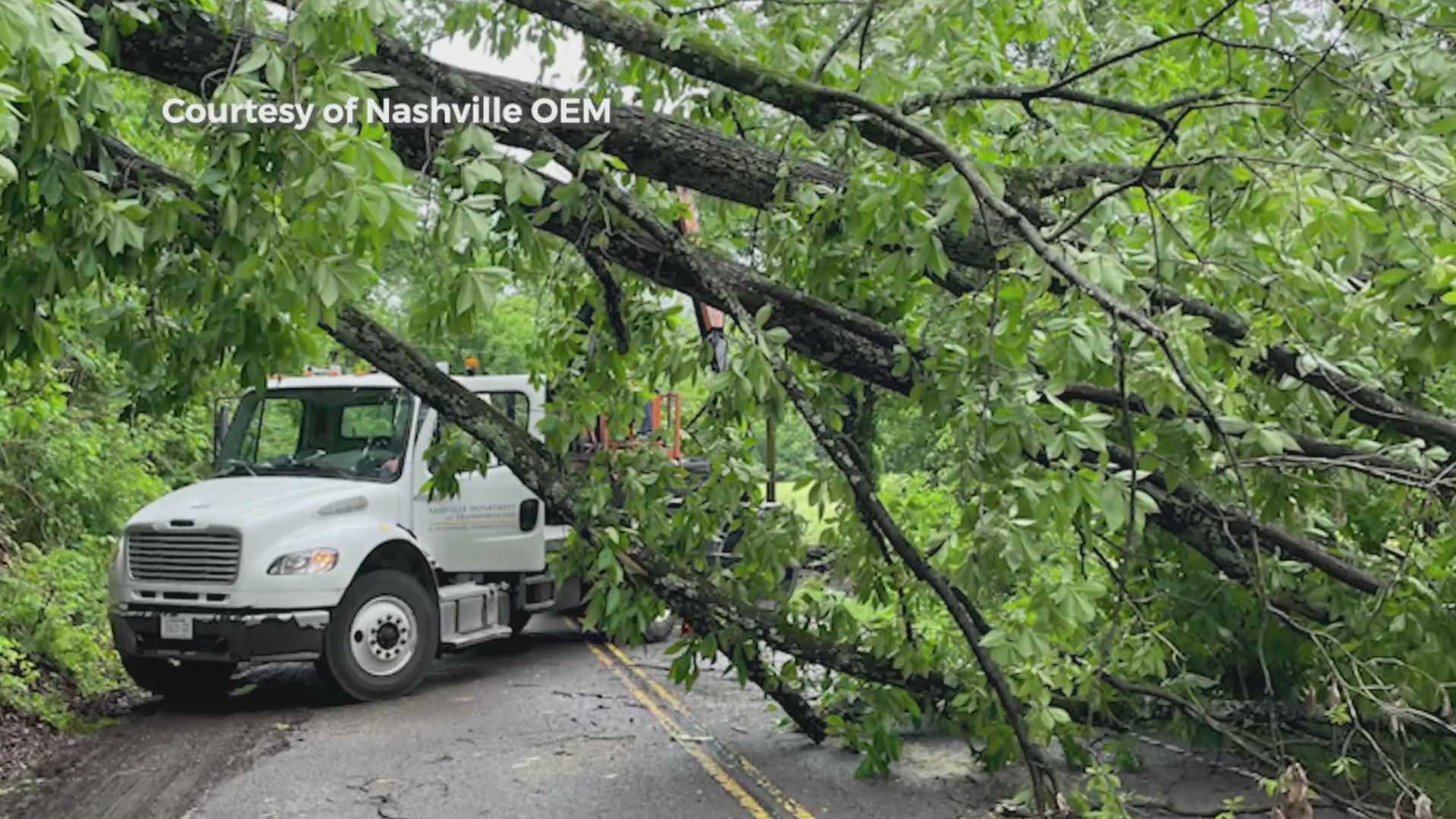 Photos: Storm damage throughout Middle Tennessee – WKRN News 2