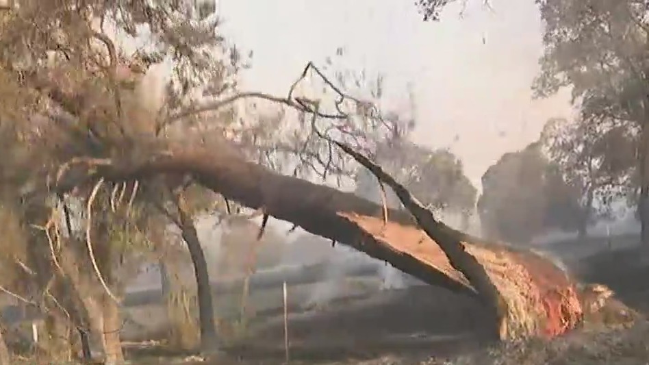 Aero Fire destroys woodland and grassland in Calaveras County – FOX40 News