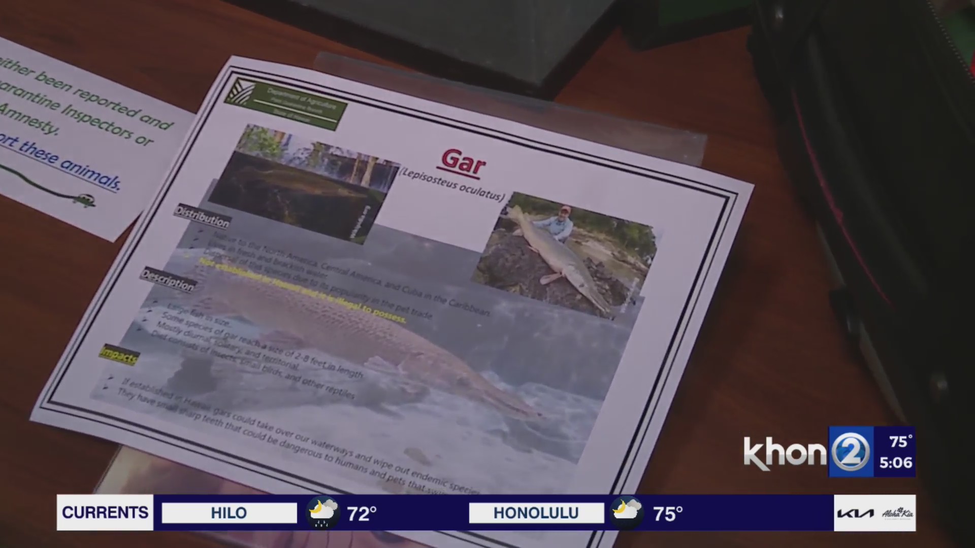 Where you can turn in illegal, invasive animals in Hawaii – KHON2