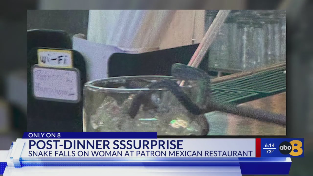 Snake falls into margarita at Henrico restaurant, leaving woman ...