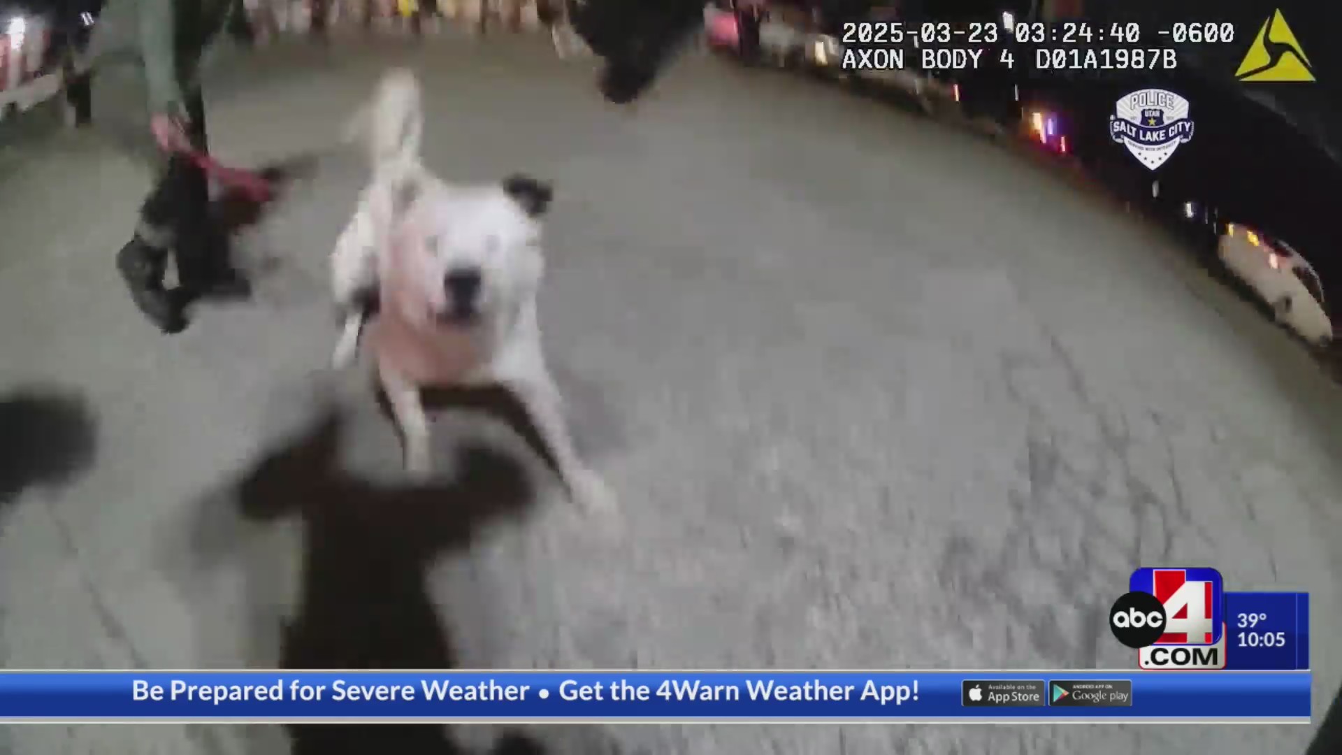 Owner of dog shot by police says he wasn’t ‘vicious,’ police say ...