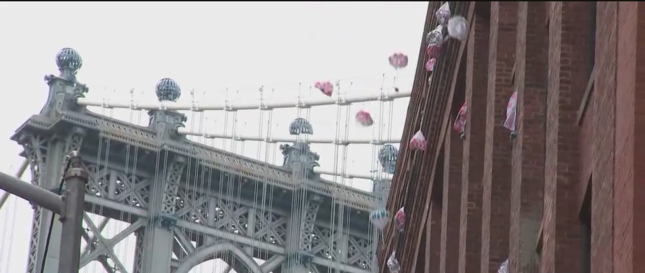 Brooklyn’s Dumbo Drop raises over $100K for local schools – PIX11