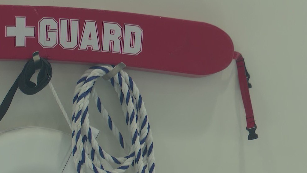 Little Whale Swim in Sacramento launched a second location and gets ...