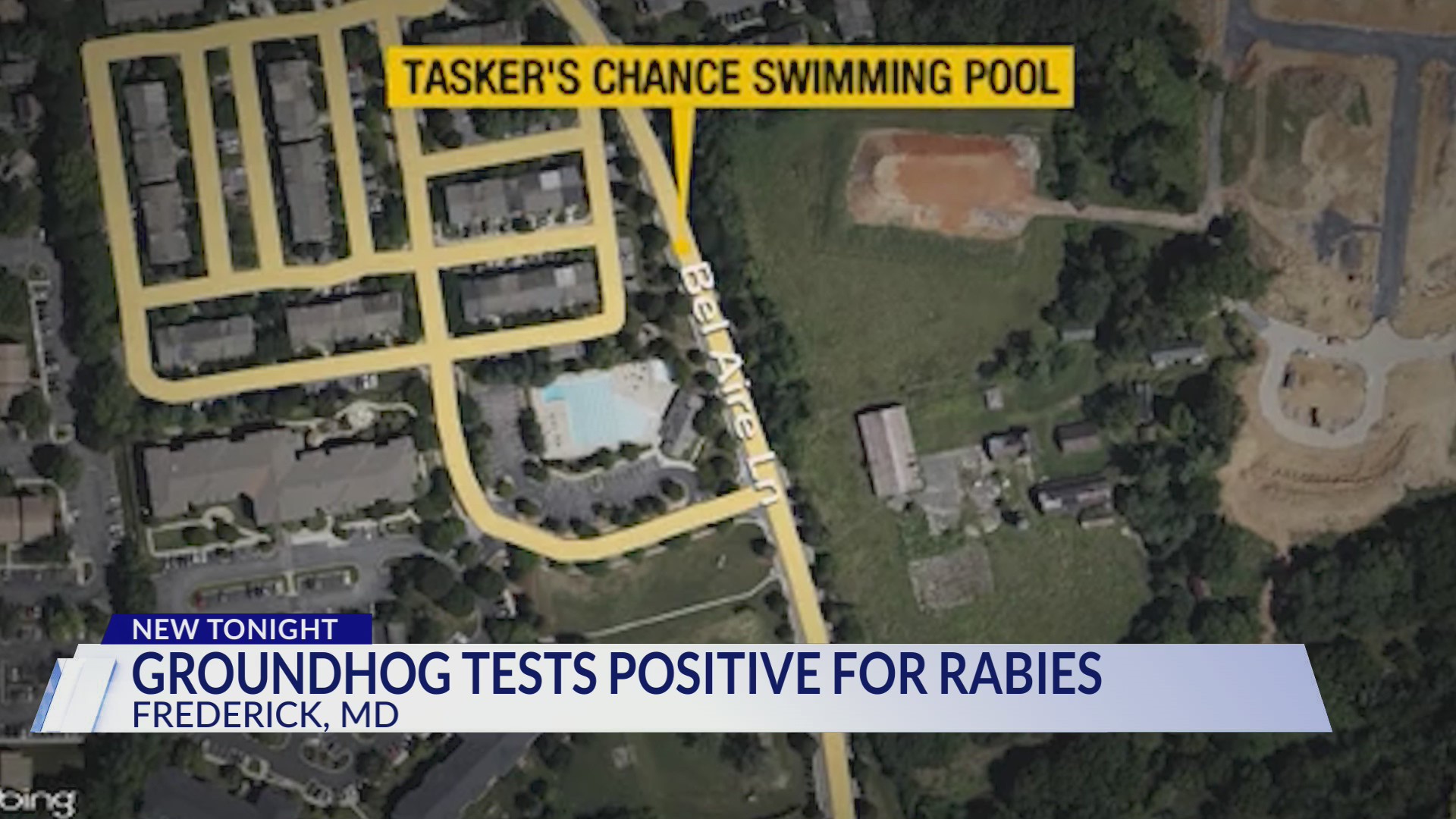 Groundhog tests positive for rabies in Frederick County – DC News Now ...