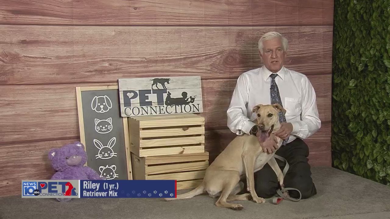 Riley – NEWS10 ABC