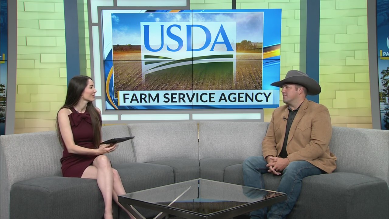 Farm Service Agent Beau Fontenot talks Crawfish Acreage reporting ...
