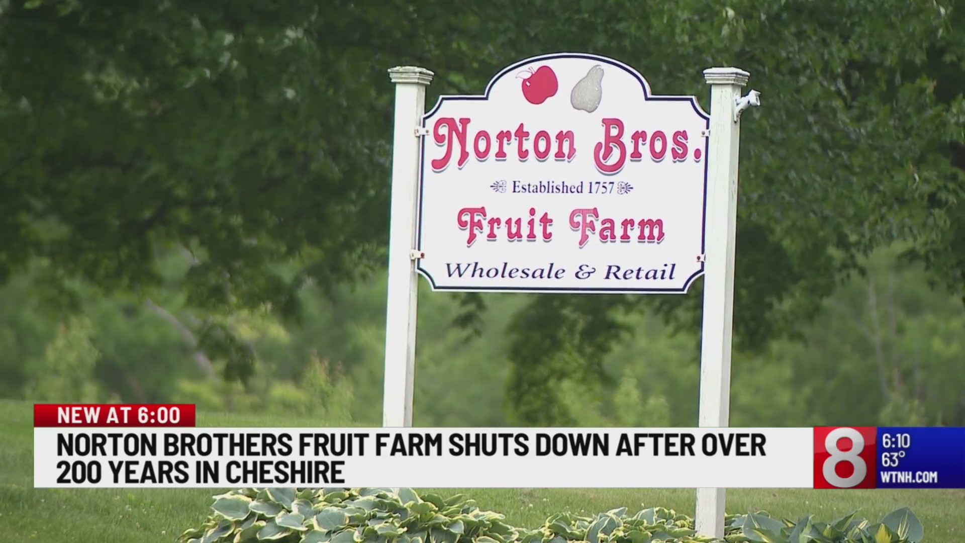 Norton Brothers Fruit Farm shuts down after over 200 years in Cheshire ...