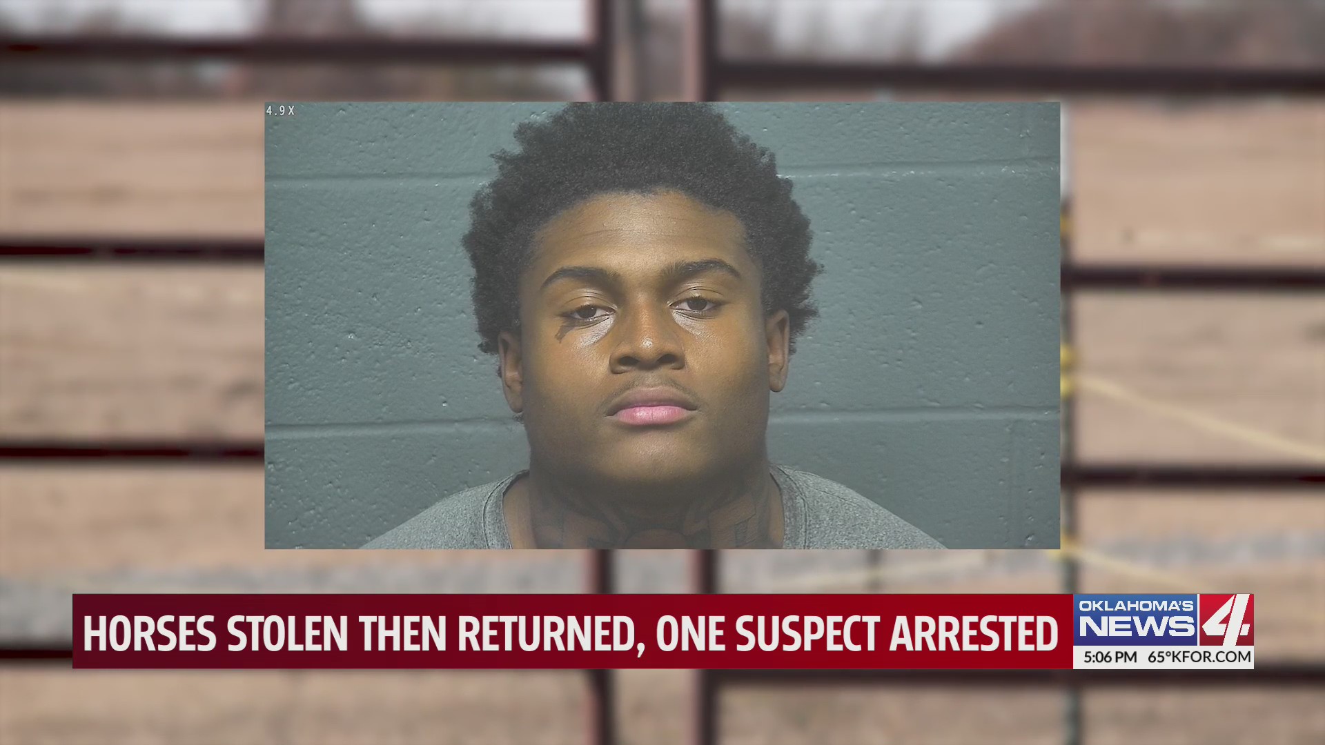 Horses stolen then returned, one suspect arrested – KFOR.com Oklahoma City