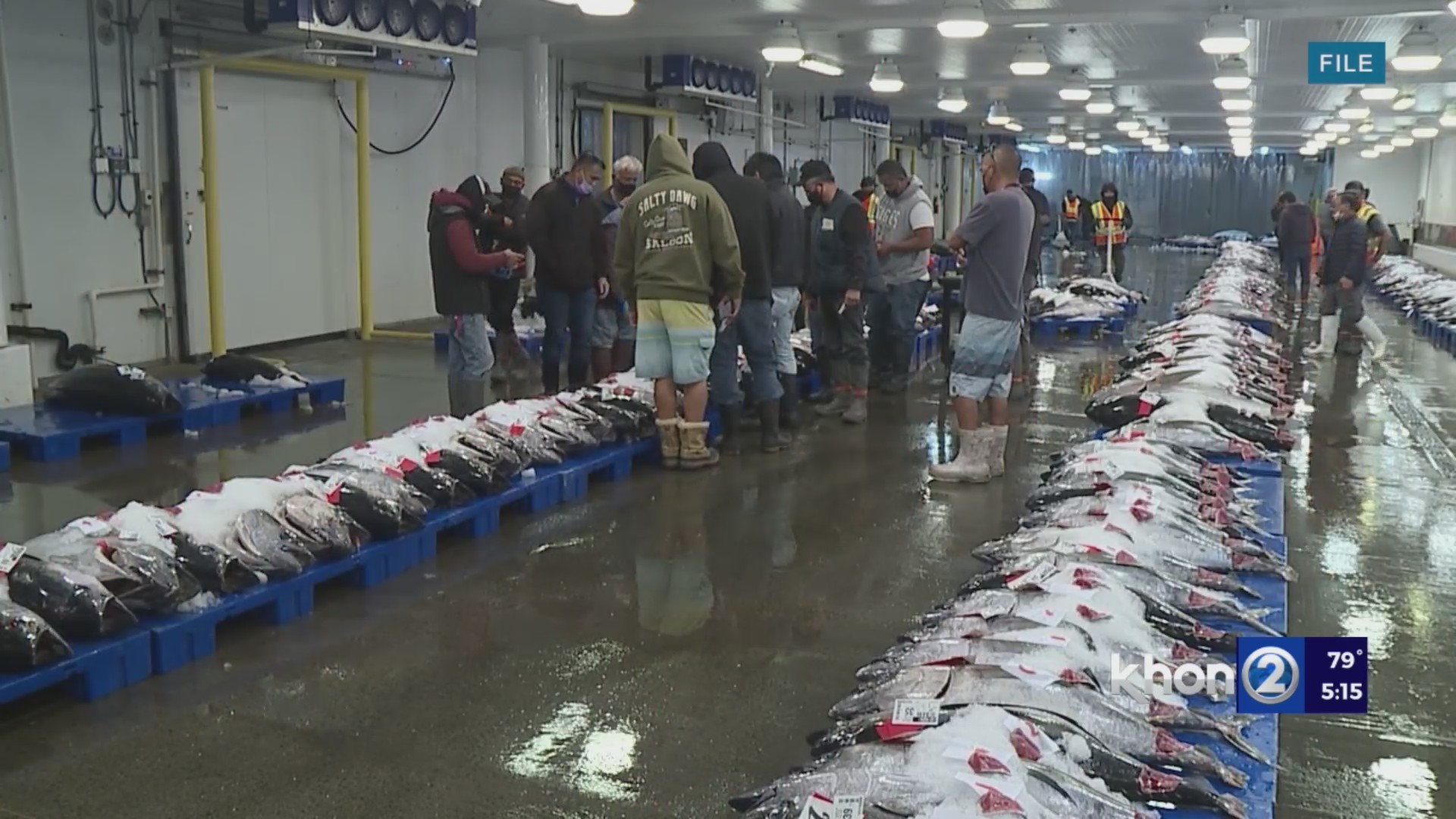 Hawaii Senator Brian Schatz looks to tackle seafood fraud – KHON2