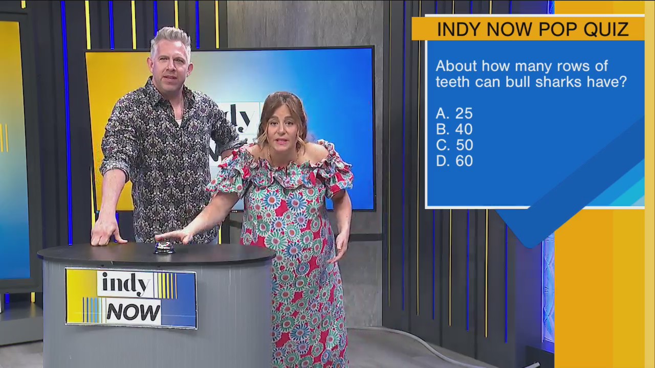 Indy Now Pop Quiz: It’s Shark Week – 7/25/25 – Fox 59