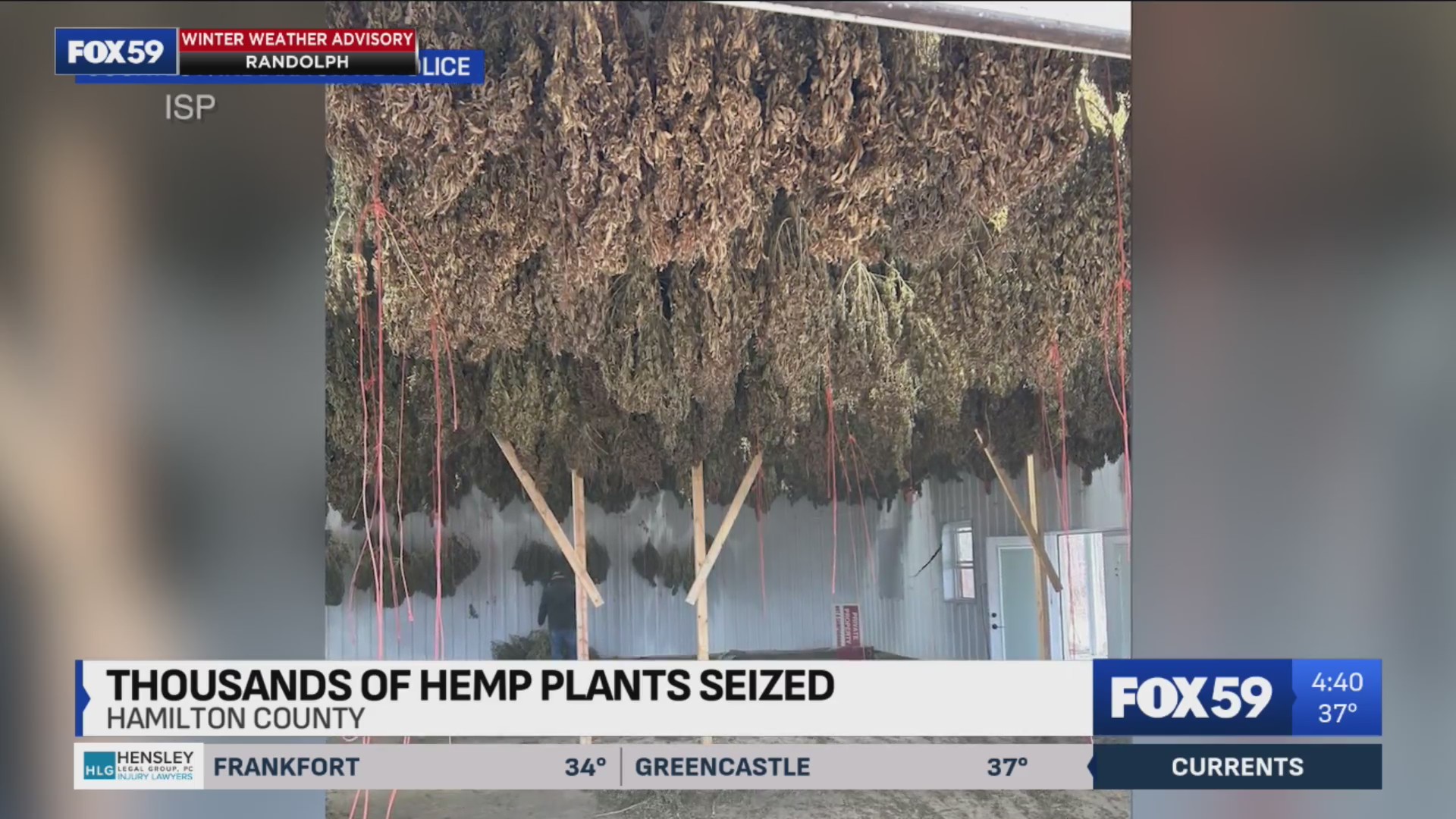 State police seize 7,000 hemp plants in Hamilton County – Fox 59