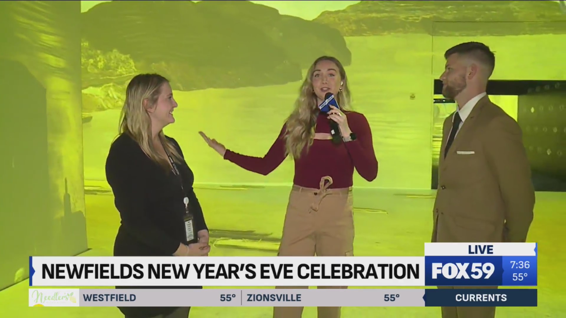 Newfields New Year’s Eve Celebration – Fox 59