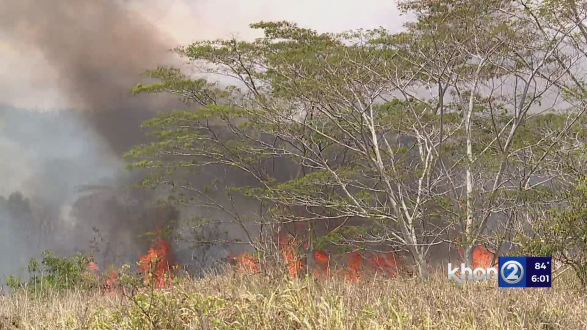 Lawyers say arson cases are tough to prove in court – KHON2