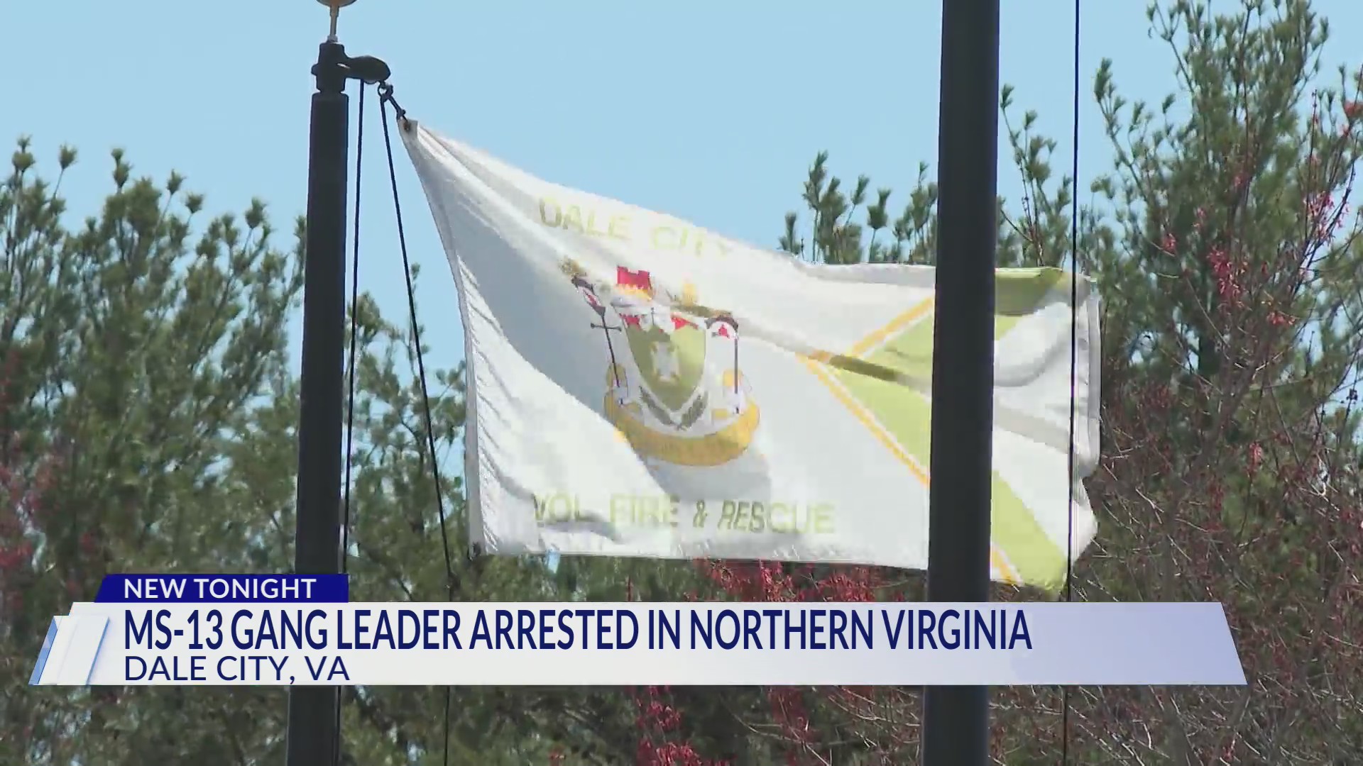 MS-13 gang leader arrested in Prince William County – DC News Now | DC ...