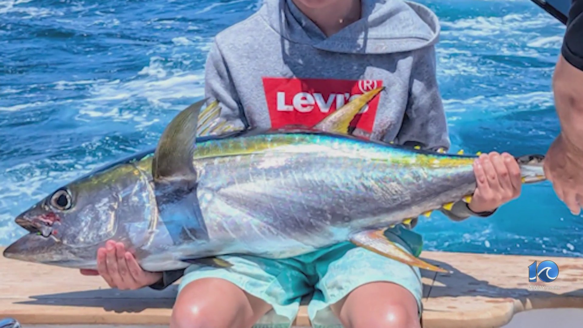 Coastal VB one of best places to target tuna – WAVY.com