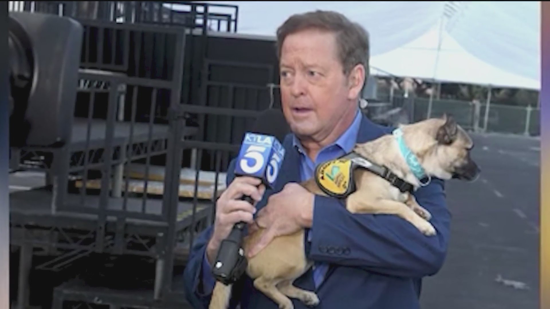 Sam Rubin, KTLA 5 Morning News legend, WGN contributor, dies at 64 – WGN-TV