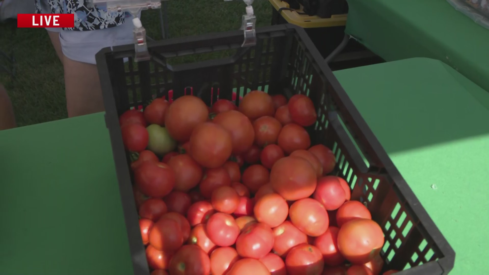 Wilson Farm Produce at the Grimes Farmers and Community Market – who13.com