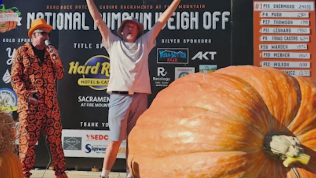 ‘Enormous’ Oregon-grown pumpkin wins national contest – KOIN.com