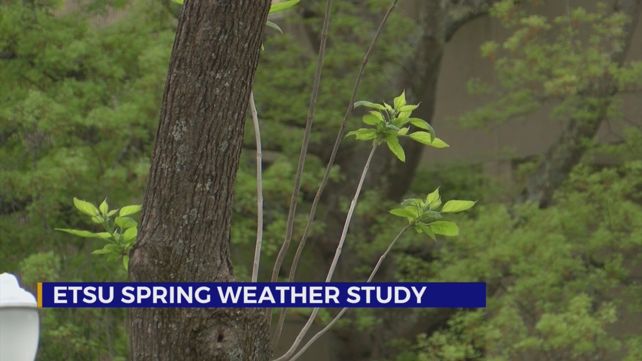 Climatologist: Northeast Tennessee will see warmer spring with plenty ...