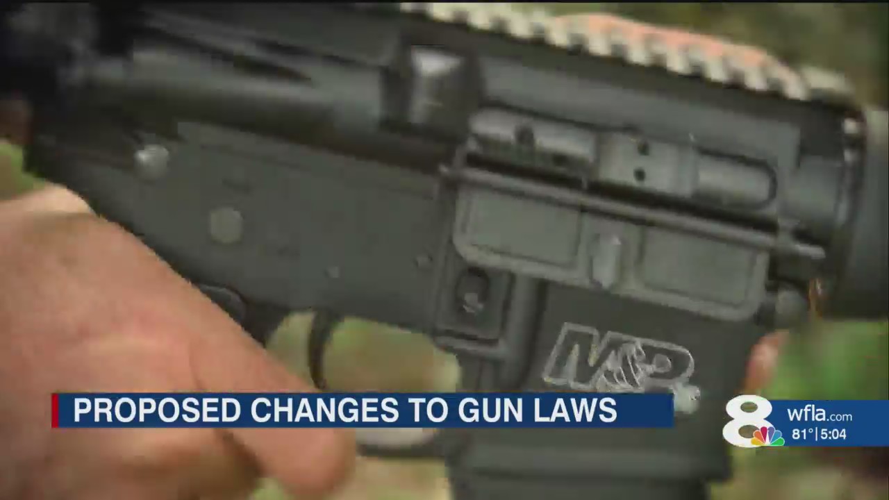 DeSantis pushes gun law changes during Manatee County visit – WFLA