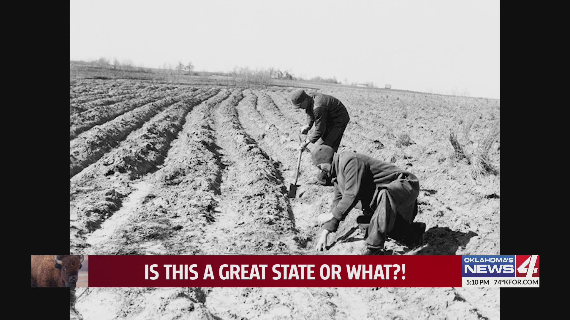 The nation’s first shelter belt is still doing its job 90 years after ...