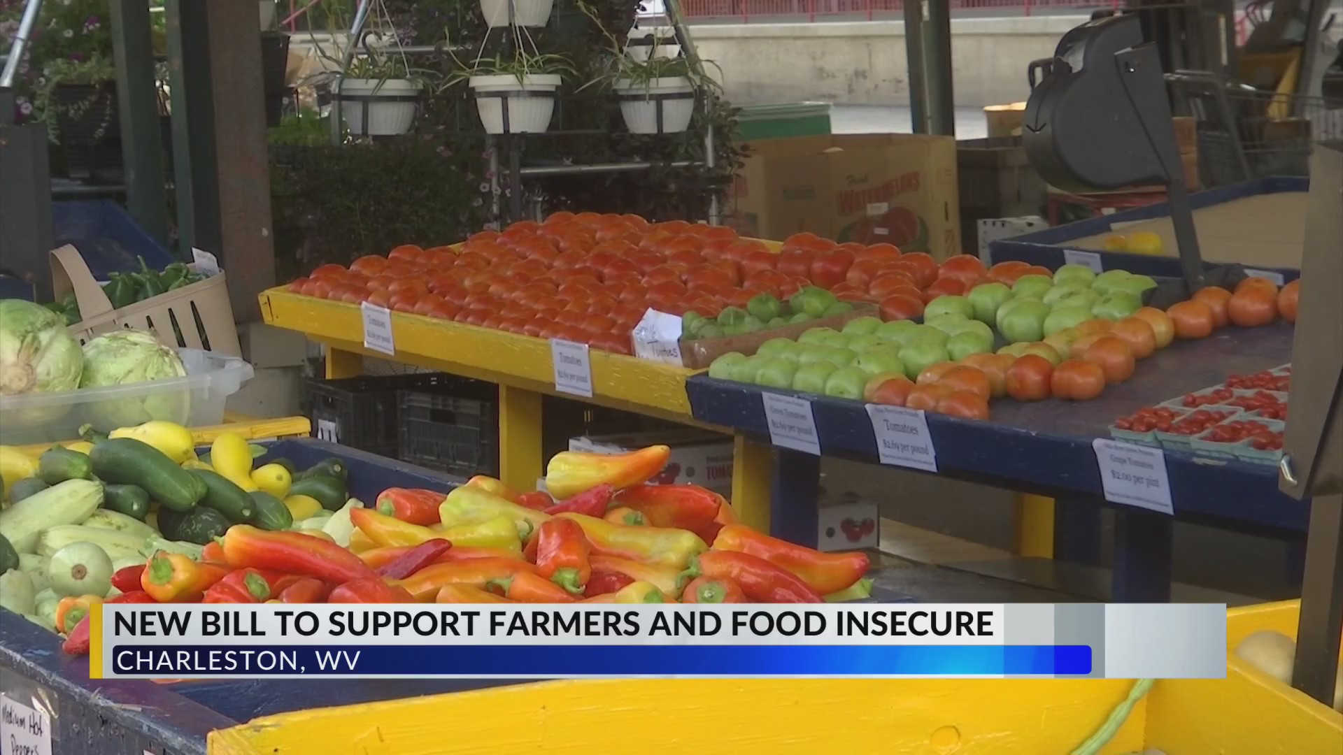 Farmer reacts to introduced Strengthening Local Food Security Act ...