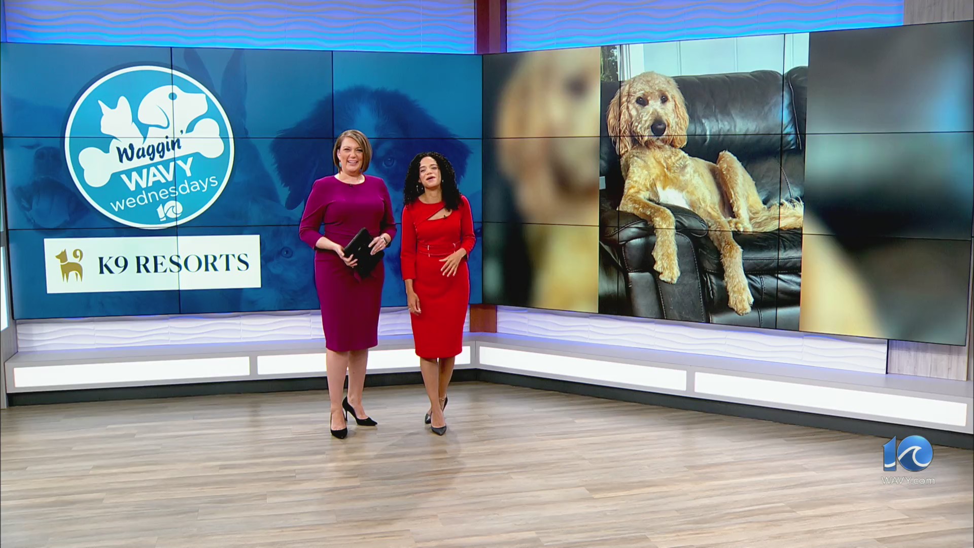 Waggin’ WAVY Wednesday winner | Week of June 2-8 – WAVY.com