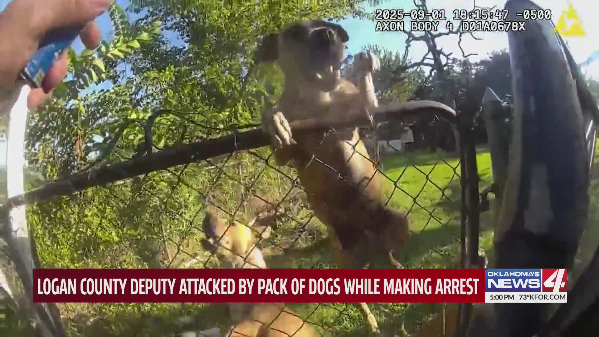 Logan County Deputy attacked by pack of dogs while making arrest – KFOR ...
