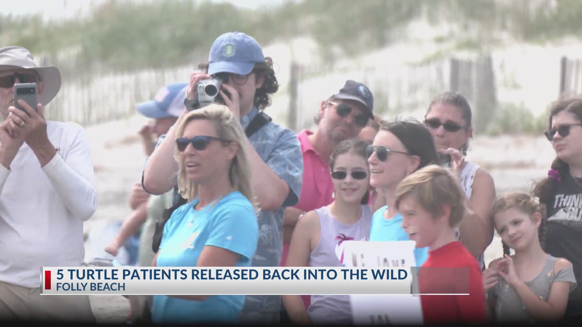 5 turtle patients released back into the wild – WCBD News 2