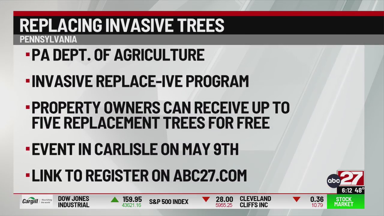 Pennsylvanians may be eligible for free trees: Here’s how – PAhomepage.com