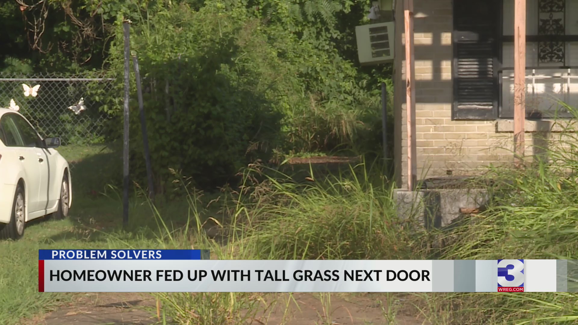 Neighbor seeks help from city leaders to cut tall grass – WREG.com