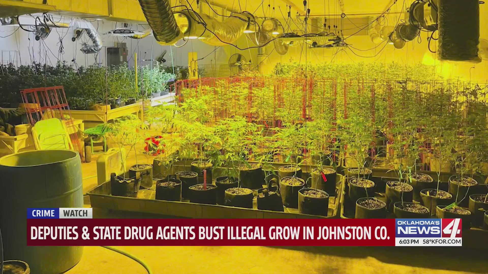 Deputies & state drug agents bust illegal grow in Johnston Co. – KFOR ...