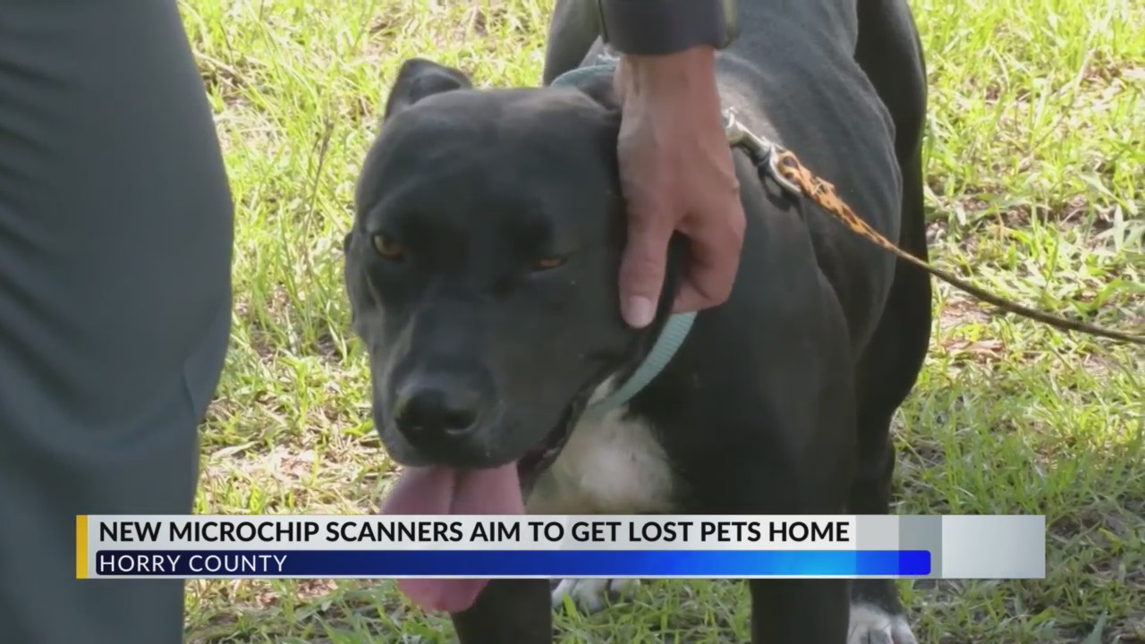 Horry County introduces new animal microchip scanner stations to help ...