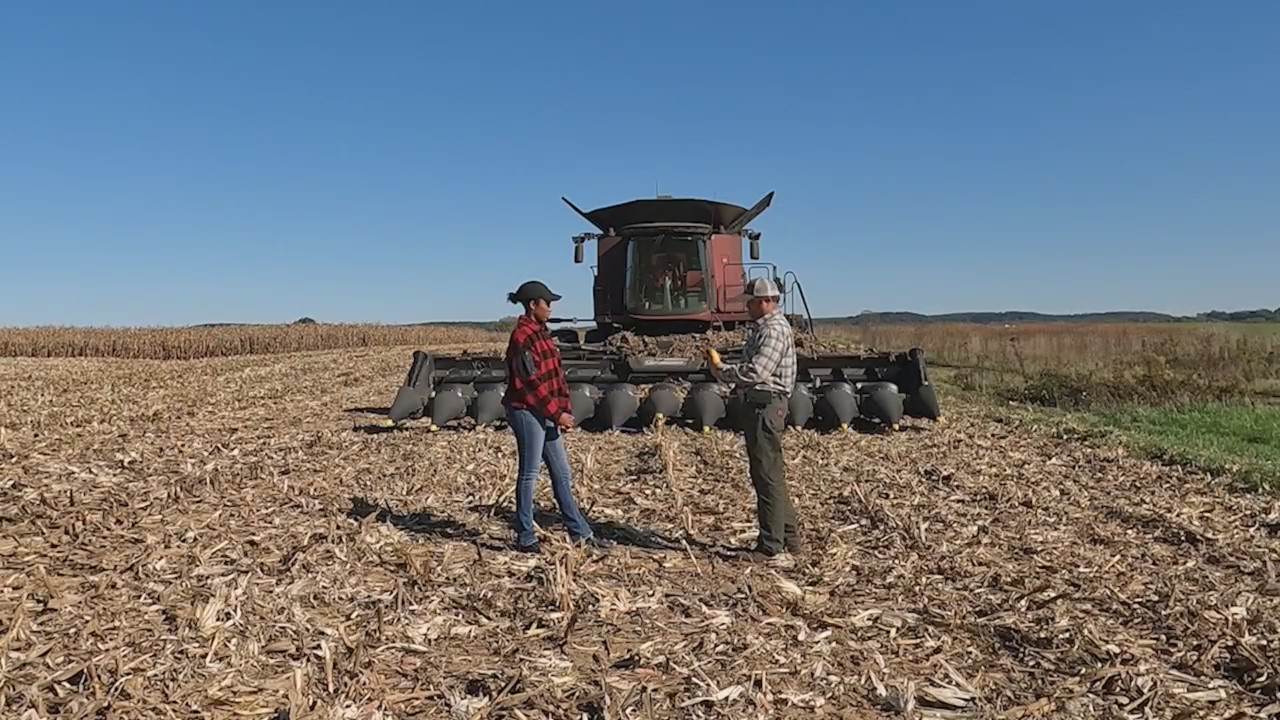 Farming 101: How Corn is Harvested in Ohio – NBC4 WCMH-TV
