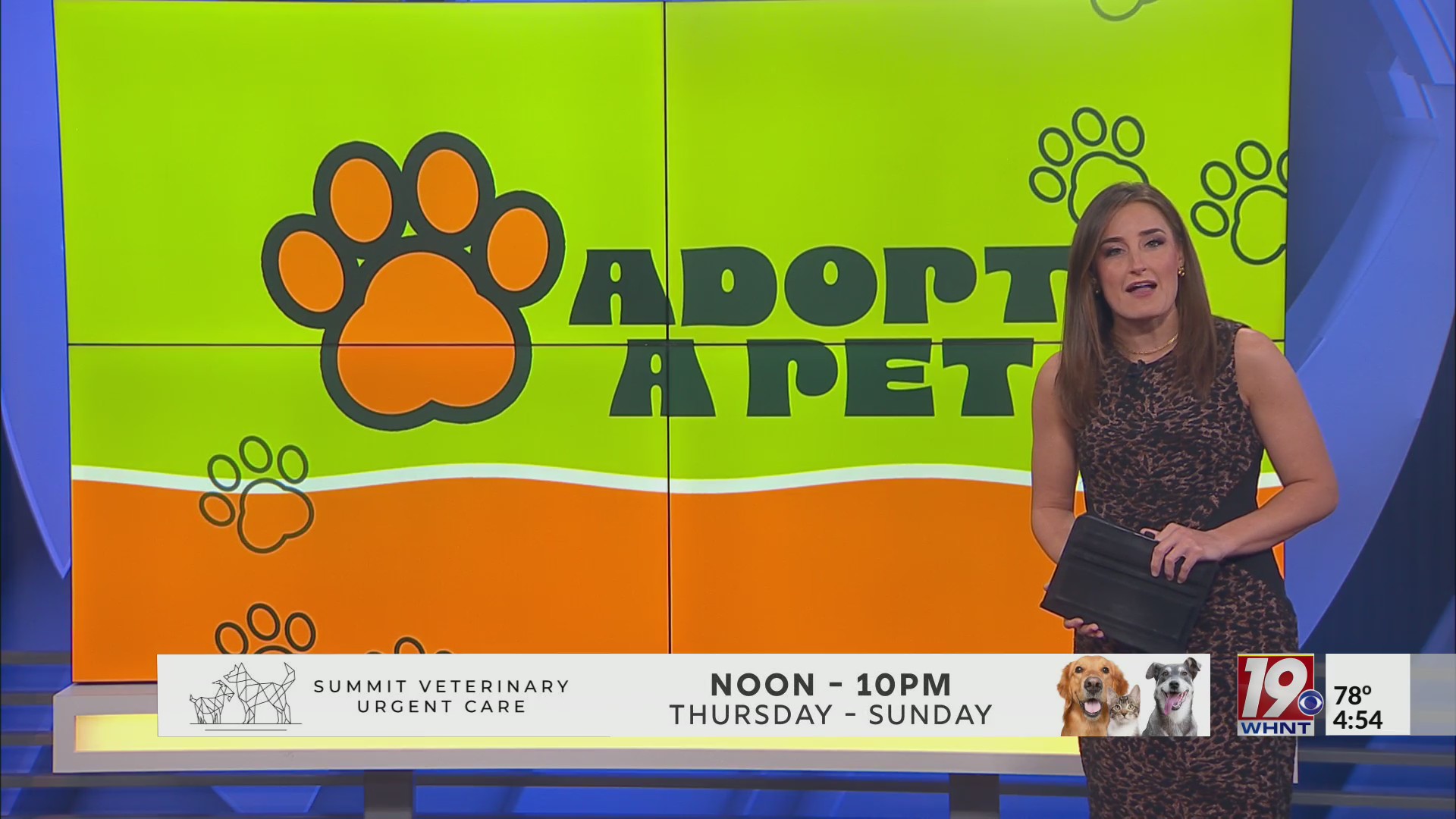 Meet the ‘Halloween Litter’! News 19’s Adoptable Pets of the Week | Oct ...