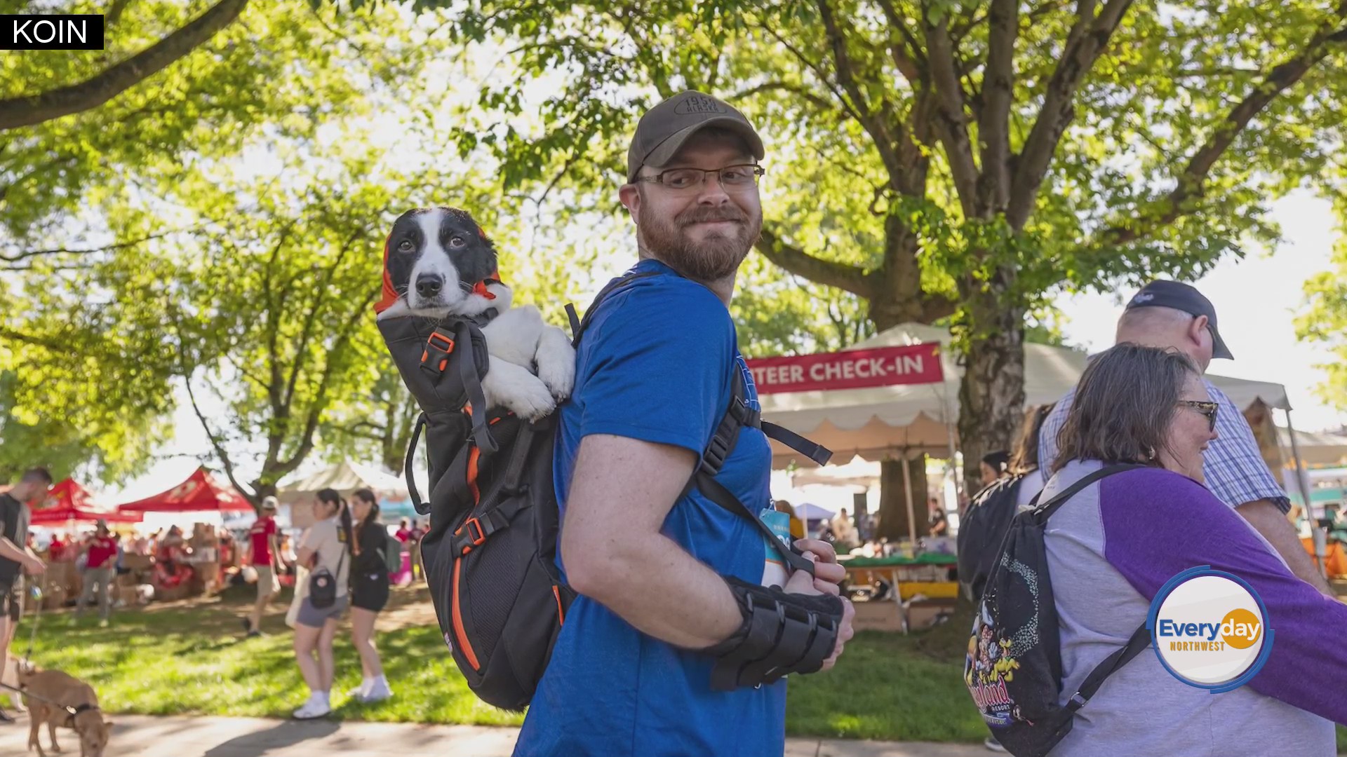 OHS Sniff Dog Hotel – KOIN.com