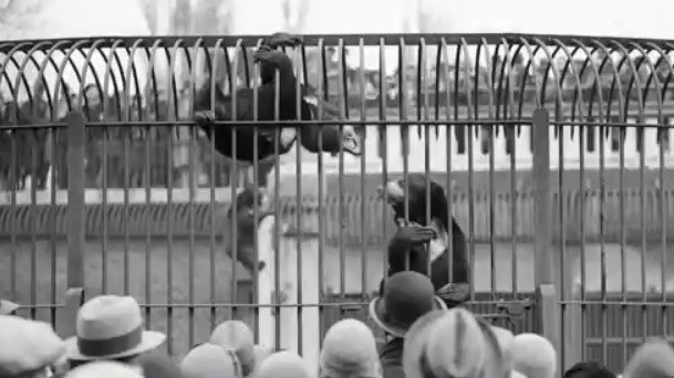 How the North Carolina Zoo got its start – FOX8 WGHP